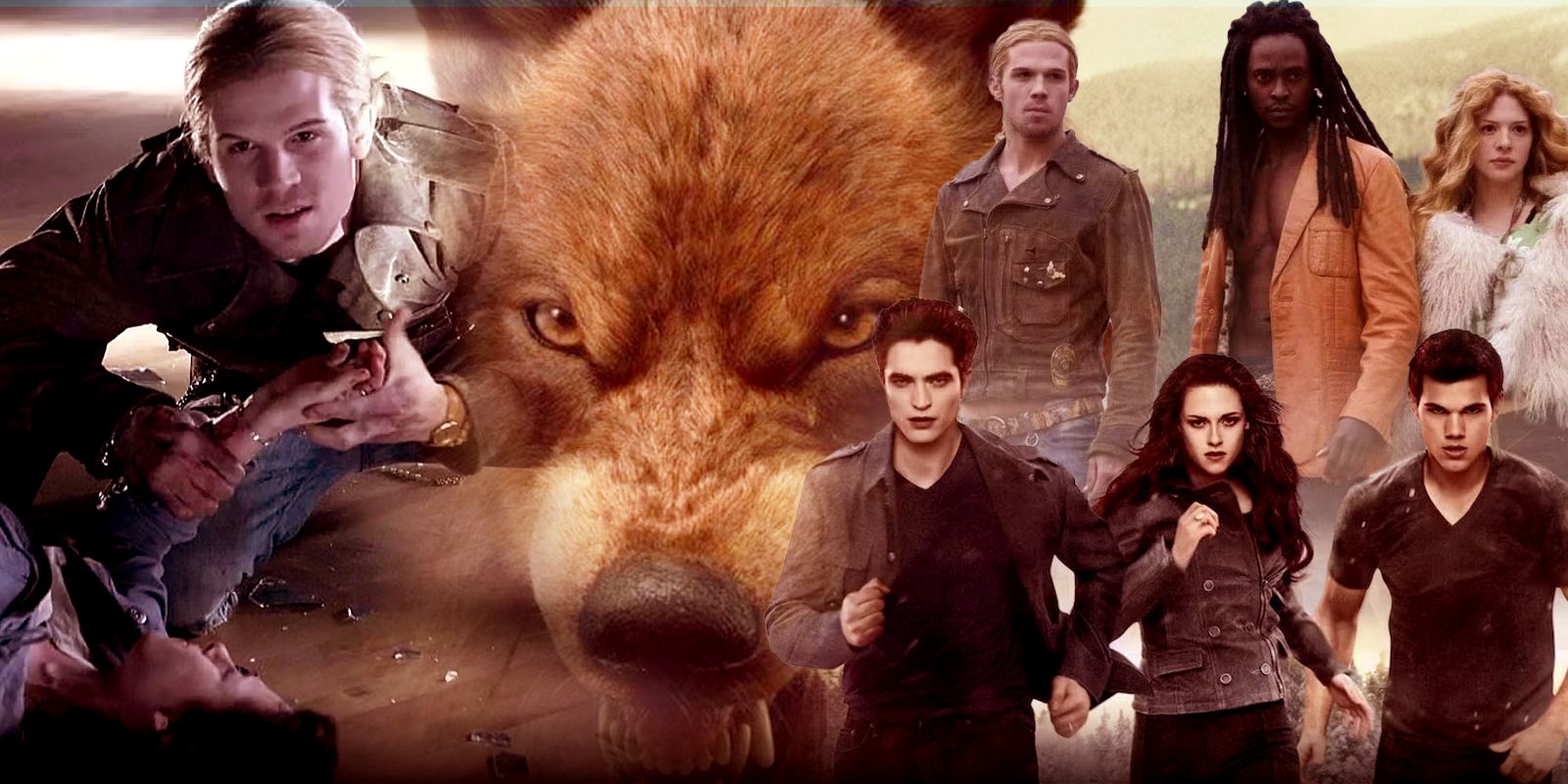 Werewolf Twilight Saga