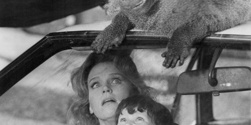 10 Most Terrifying Horror Movie Monkeys to Catch Before Stephen King’s ...