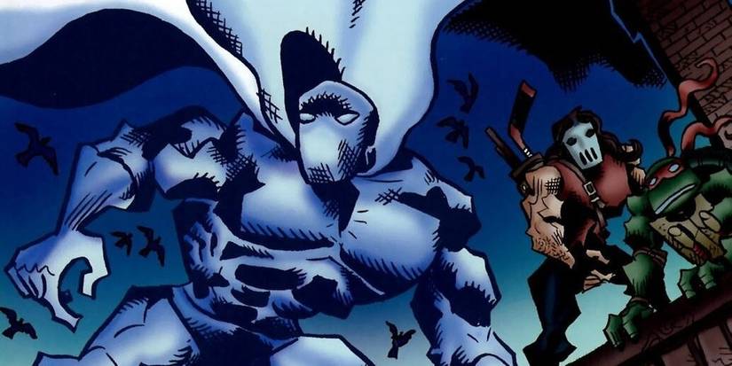 10 Best Superheroes in TMNT Comics, Ranked