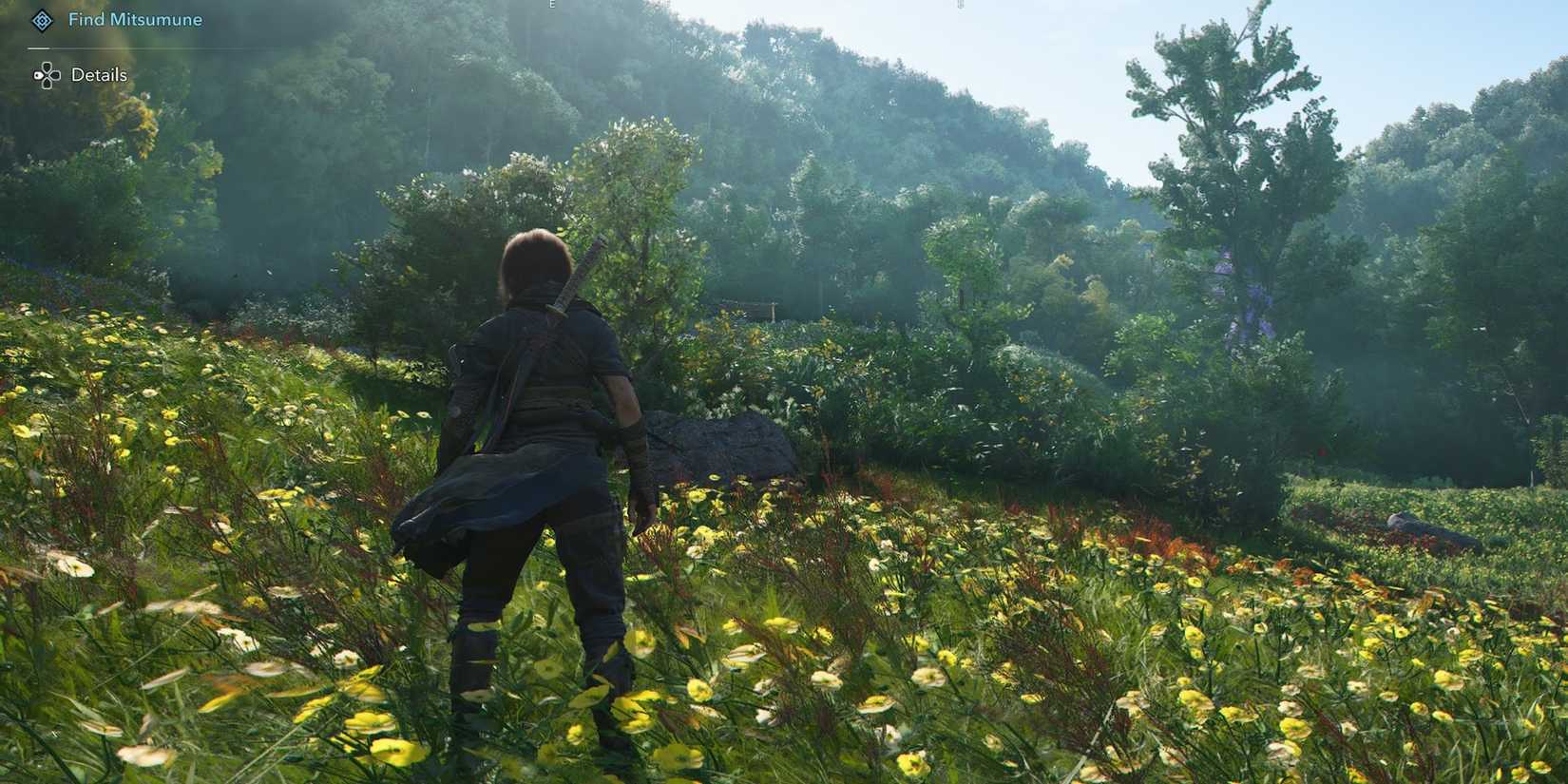 AC Shadows: 10 Coolest Secrets You May Have Missed