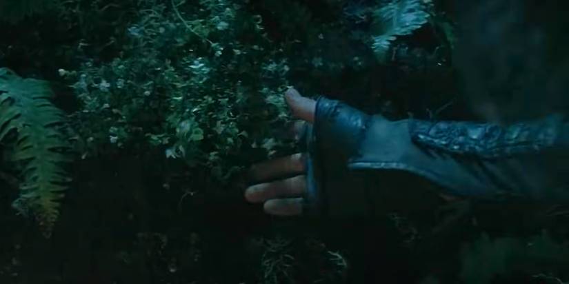 Only Book Fans Know This Comical The Lord of the Rings Character (And ...