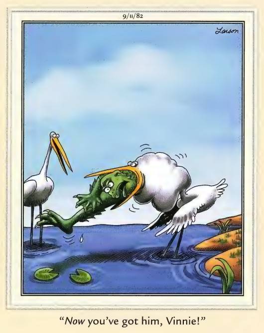 The Most Hilarious The Far Side Comics Published In 1982, Ranked