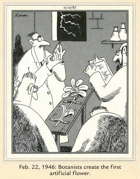 15 Funniest The Far Side Comics About the Workplace, Ranked