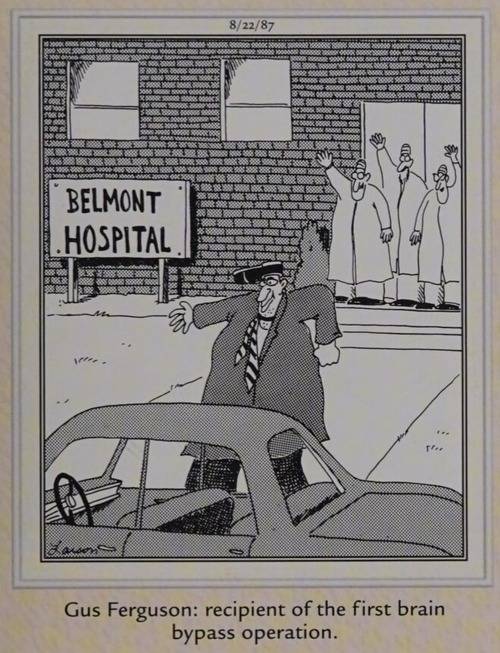 10 Hilarious Far Side Comics About Saying Goodbye