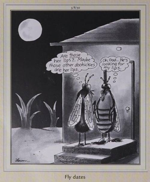 10 Hilarious Far Side Comics About Saying Goodbye