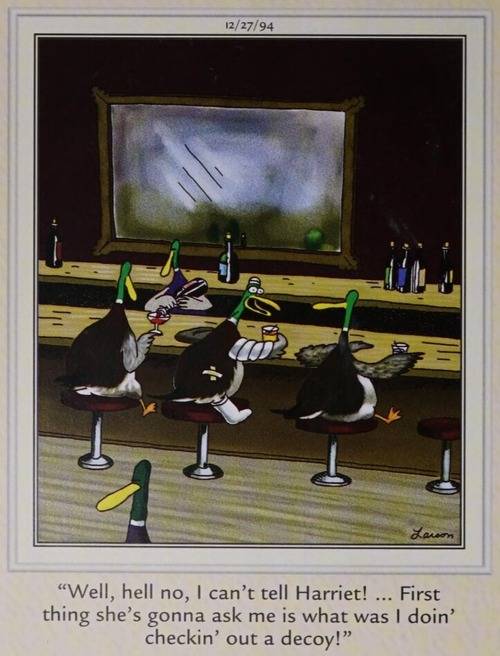 10 Far Side Comics Kids Would Never Understand