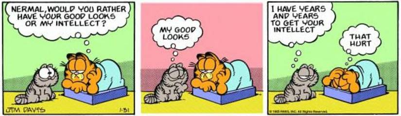 10 Best Nermal's Revenge Moments In Garfield Comics