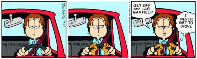 10 Funniest Garfield Car Rides, Ranked