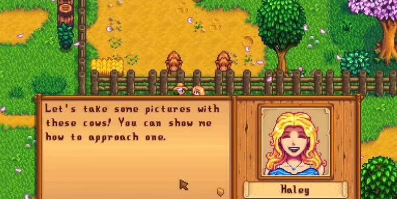 How To Get All of Haley's Heart Events in Stardew Valley