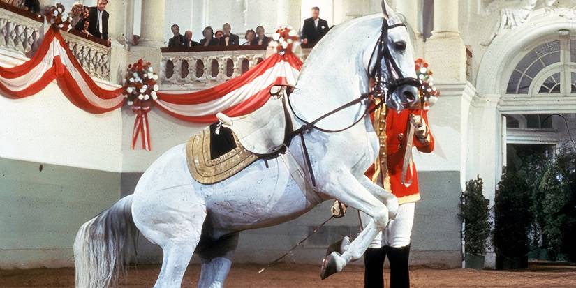 62 Years Later, Walt Disney's Forgotten Adventure Film Remains 1 of the ...