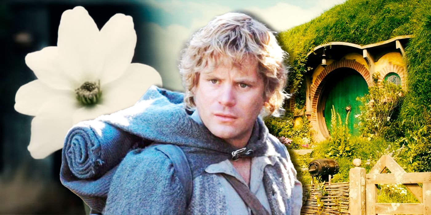 This Lord of the Rings Character's Role is Secretly Far More Important ...