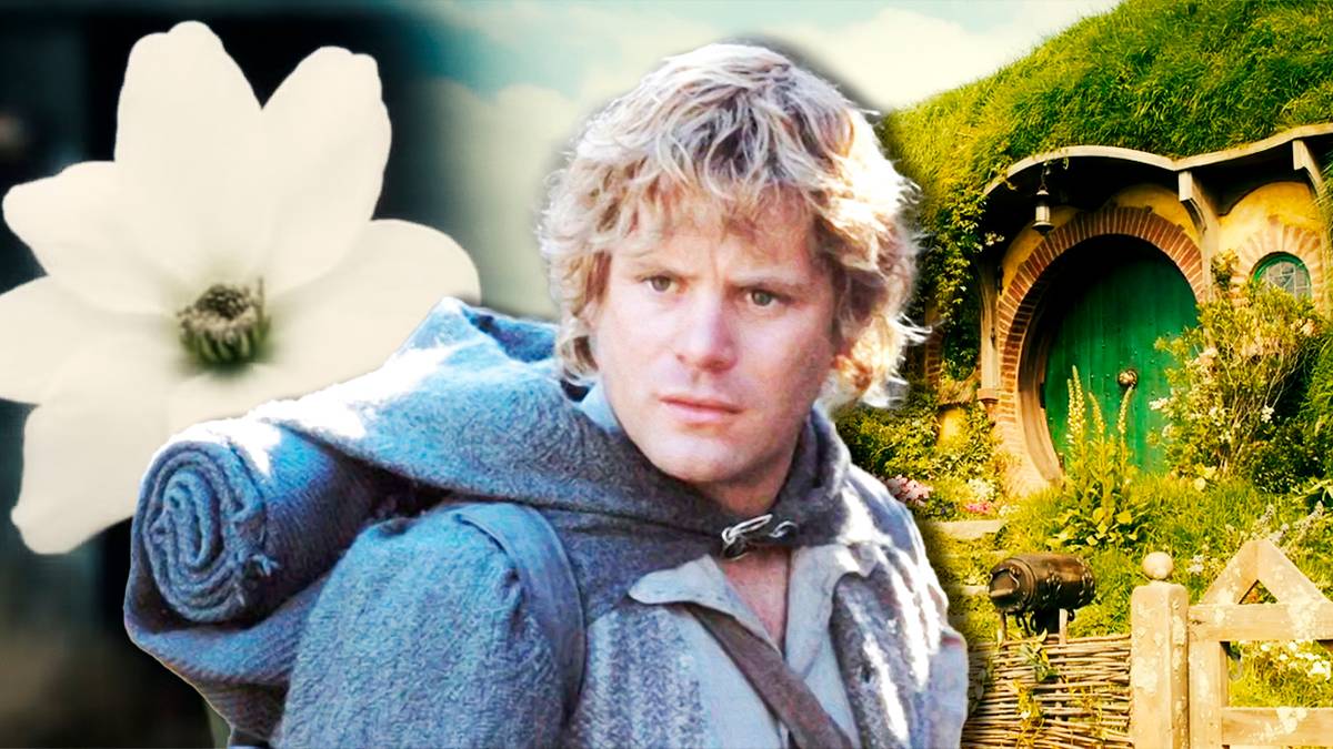 This Lord of the Rings Character's Role is Secretly Far More Important ...