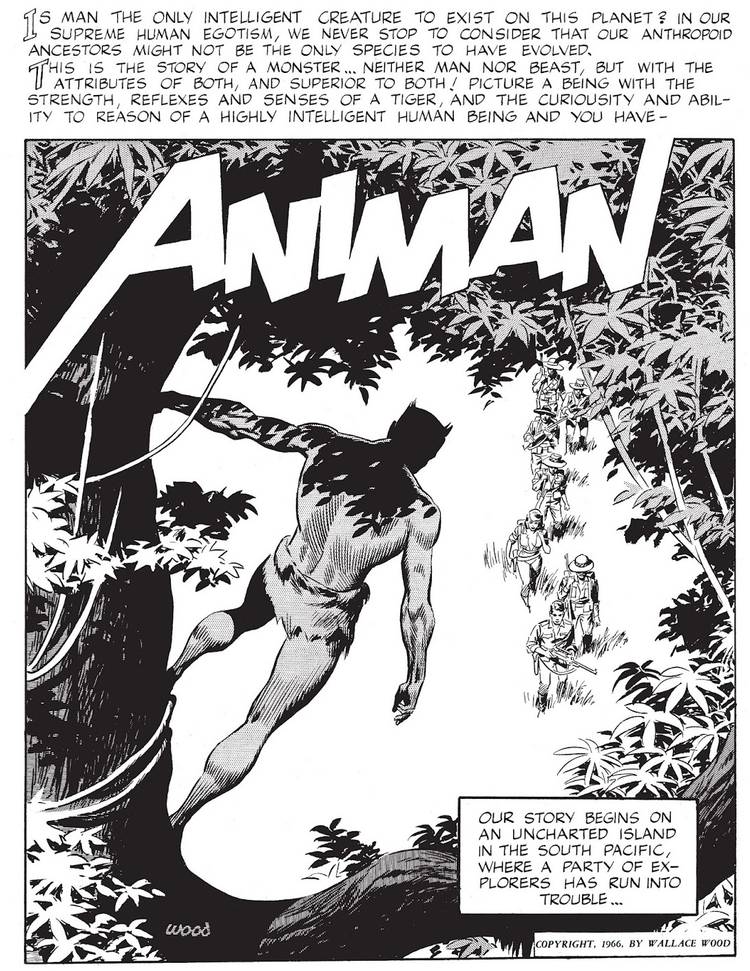 Wally Wood from witzend Complete Collection Review: A Spotlight on an ...