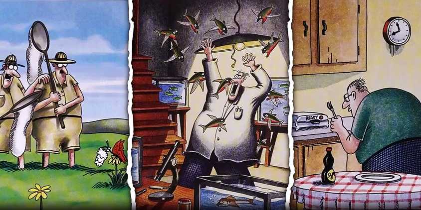 The Funniest Far Side Comics With Detectives and Murder Mysteries