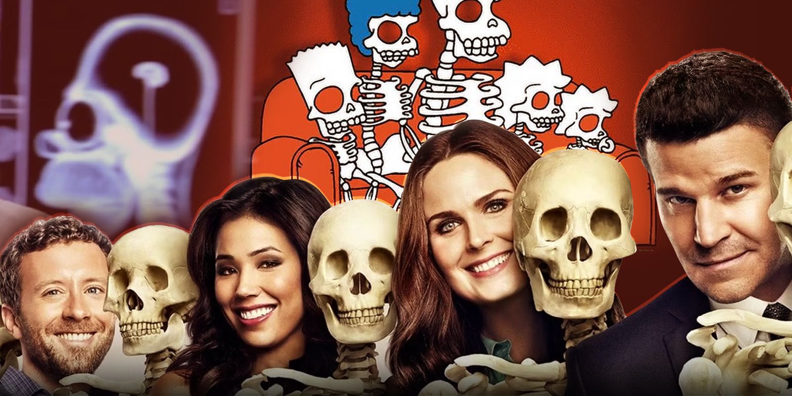 16 Years Later, Bones' Secret Simpsons Crossover Is Still 1 of the Show ...