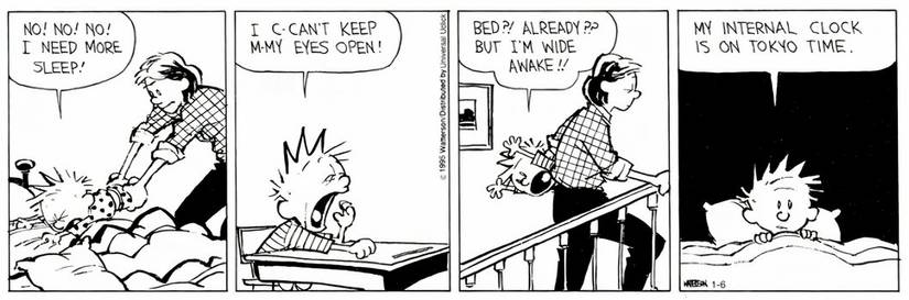 10 Calvin and Hobbes Strips That Adults Can Relate To