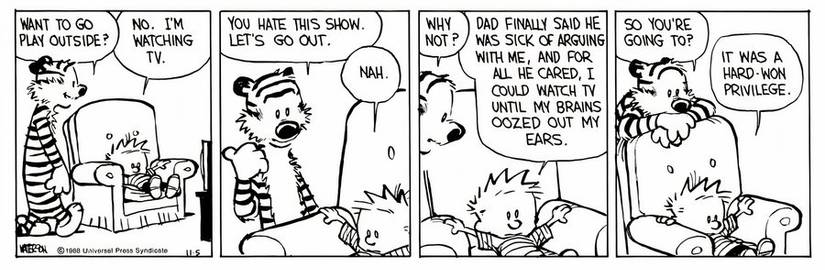 The Best Calvin and Hobbes Comics About Watching TV
