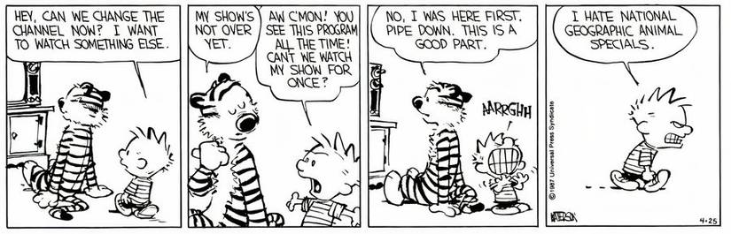 The Best Calvin and Hobbes Comics About Watching TV
