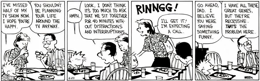 The Best Calvin and Hobbes Comics About Watching TV