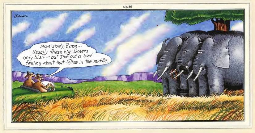 The Funniest Far Side Comics Featuring Elephants, Ranked