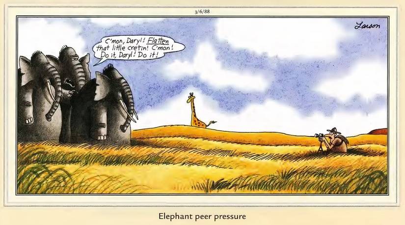The Funniest Far Side Comics Featuring Elephants, Ranked