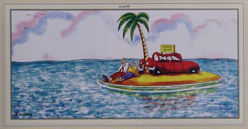10 Funniest Dad Jokes in The Far Side Comics