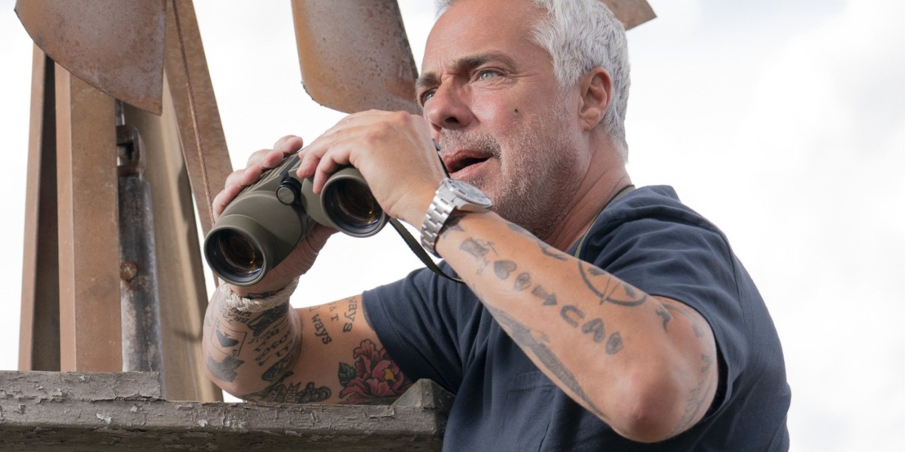 Lord of the Rings: Legolas Galadhrim Bow, Explained