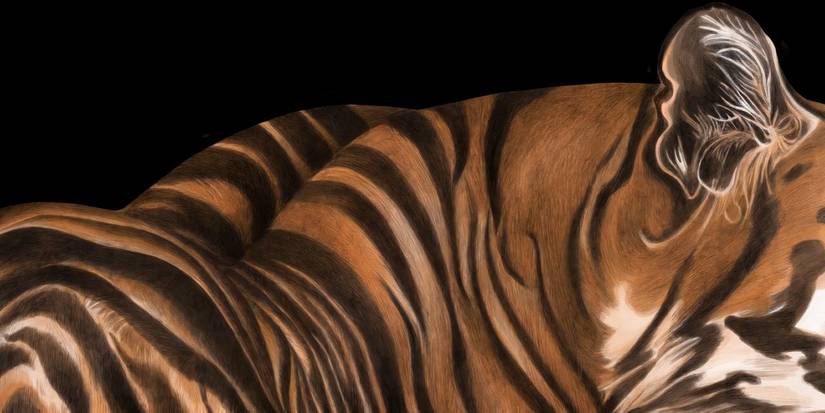 10 Classic Fairy Tales That (Surprisingly) Still Haven't Gotten a ...