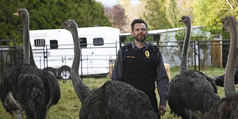 10 Funniest Animal Control Episodes, Ranked