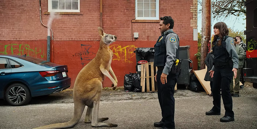 10 Funniest Animal Control Episodes, Ranked