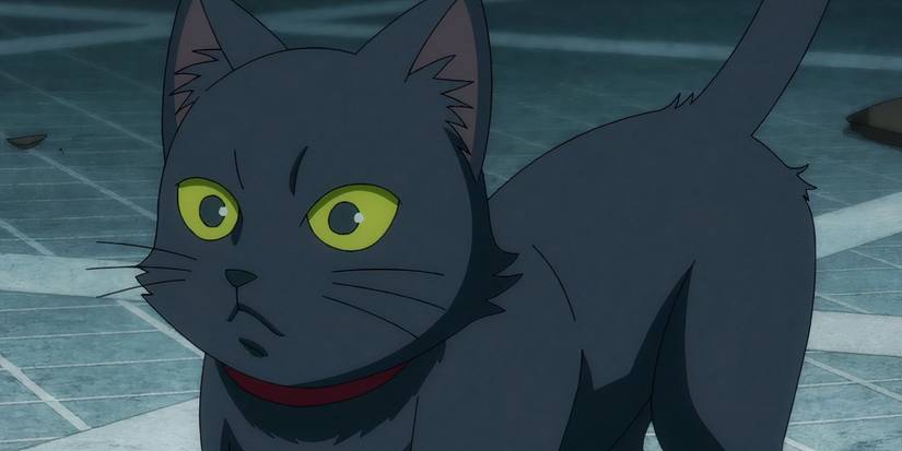 The 10 Best Comic Book Cats of All Time, Ranked