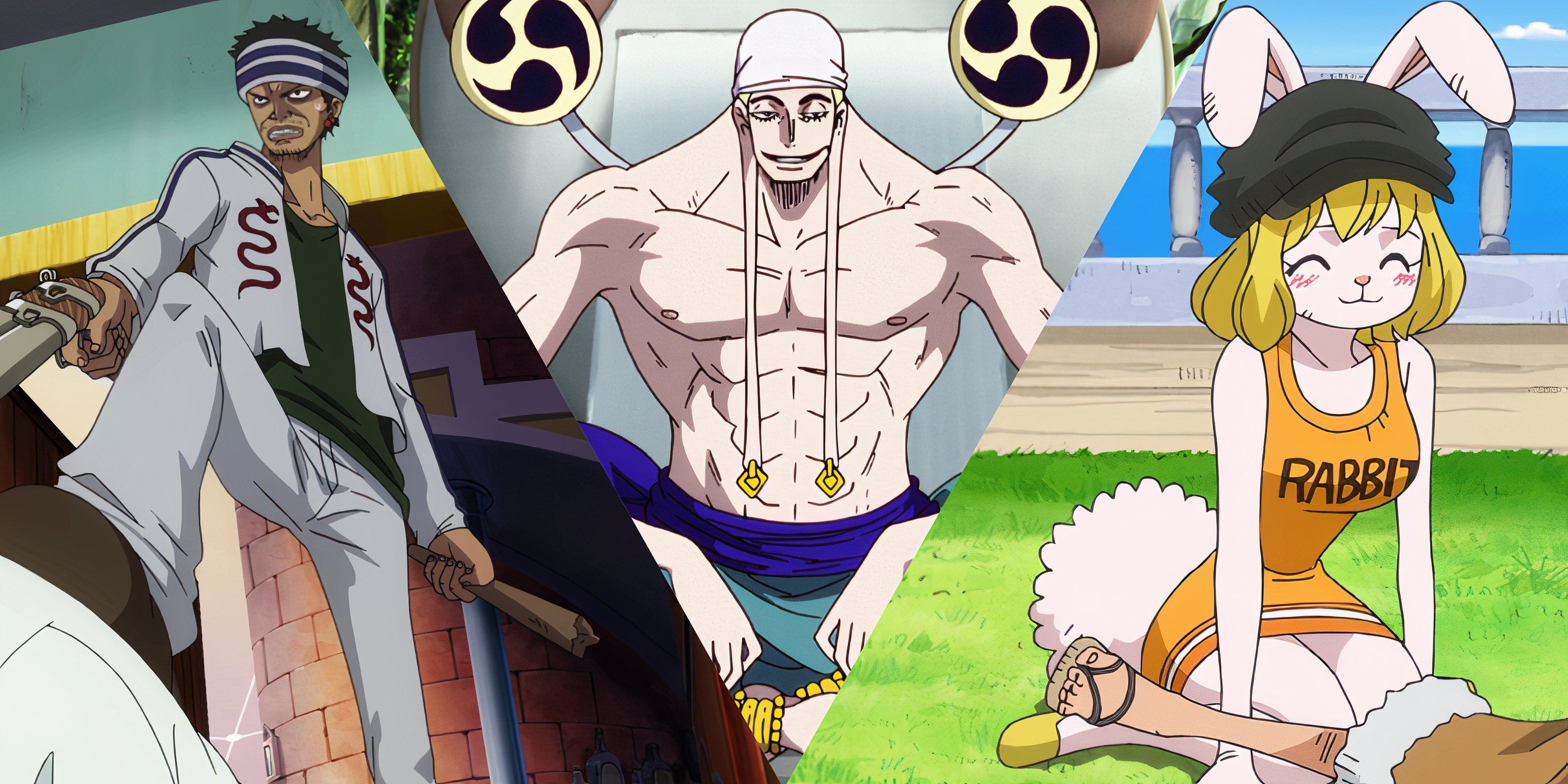 10 Genius-Level One Piece Characters, Ranked