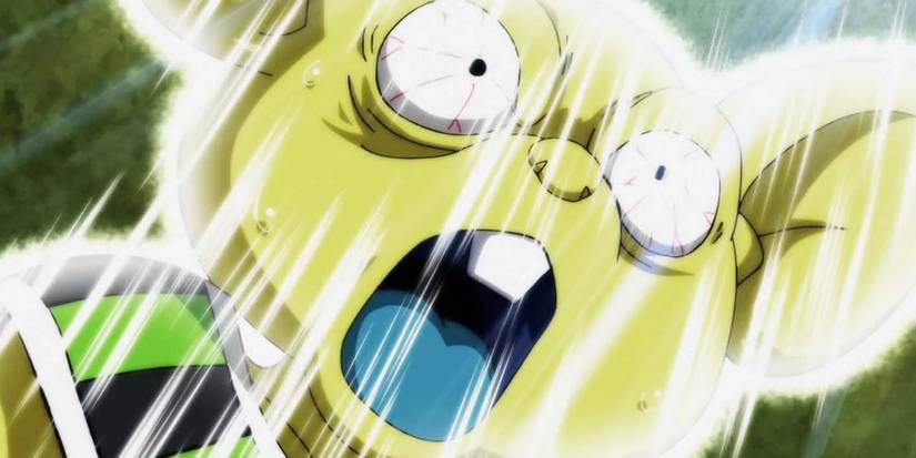 10 Best-Designed Dragon Ball Super Characters Who Look Like Animals, Ranked