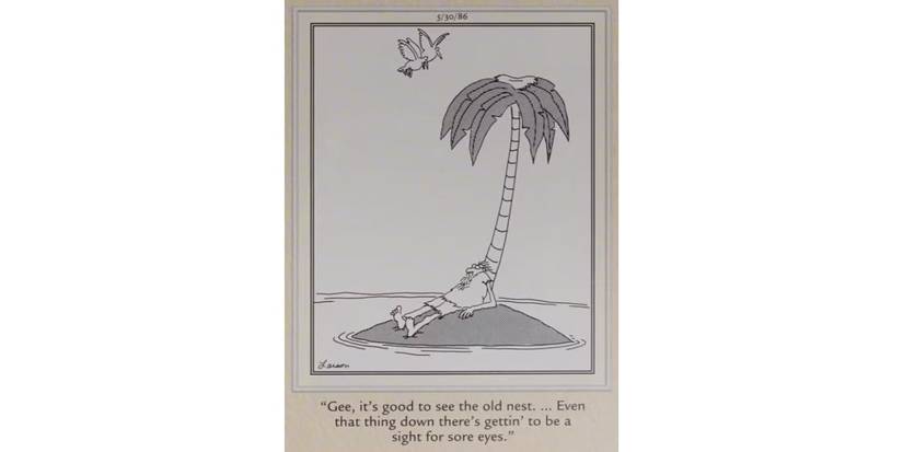 15 Best The Far Side Comics About Stranded People