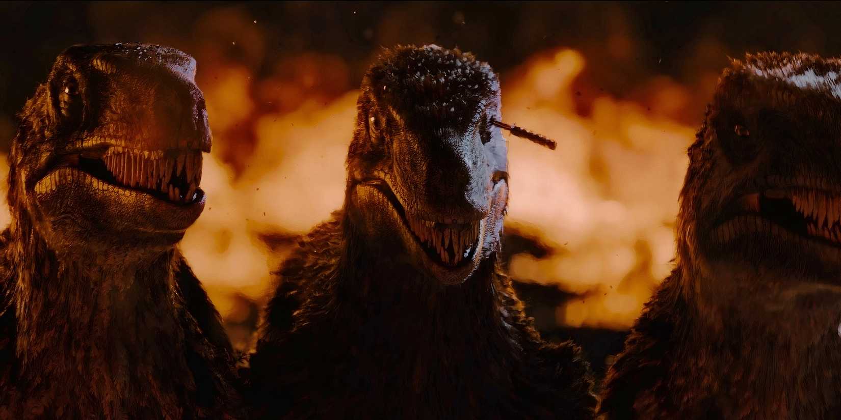 Everything We Know About Primitive War