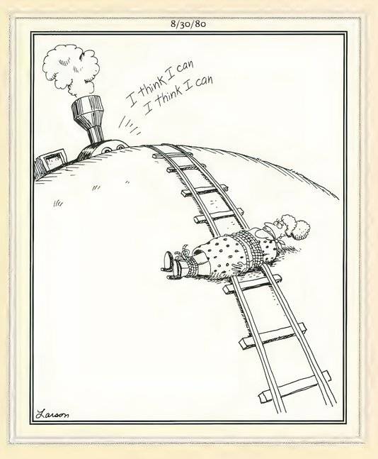 The Best The Far Side Comics Inspired By Books, Ranked