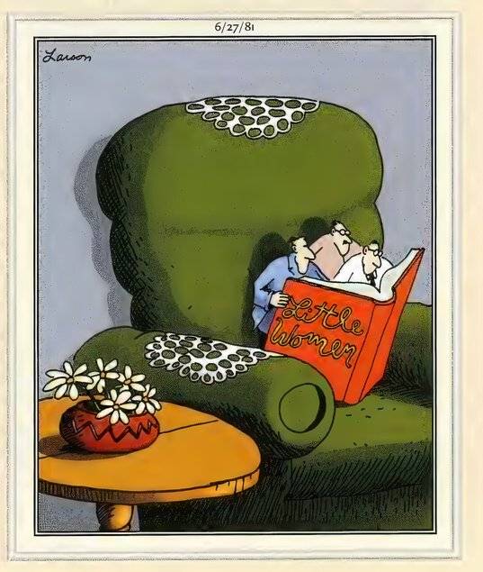 The Best The Far Side Comics Inspired By Books, Ranked
