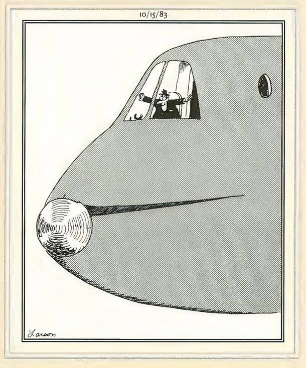 10 The Far Side Comics That Are Surprisingly Sweet