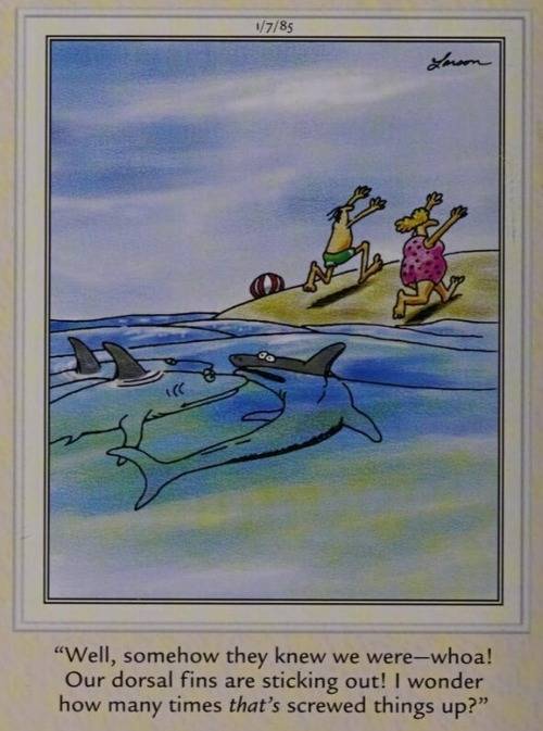 10 Hilarious Far Side Comics About The Beach