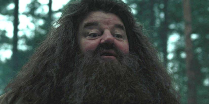 15 Best Hagrid Quotes In Harry Potter