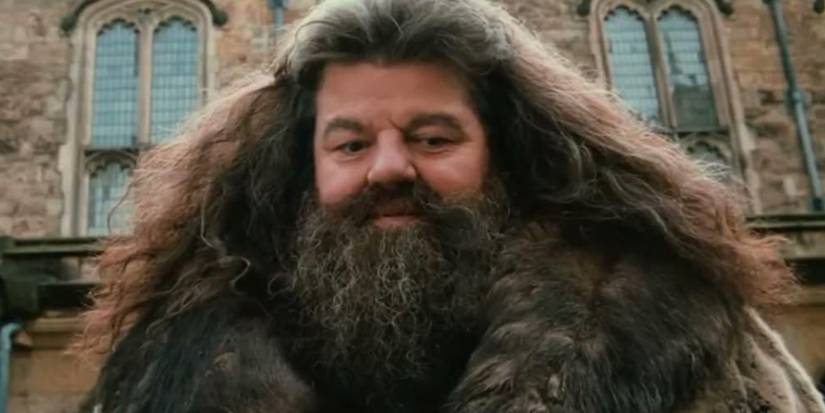 15 Best Hagrid Quotes In Harry Potter