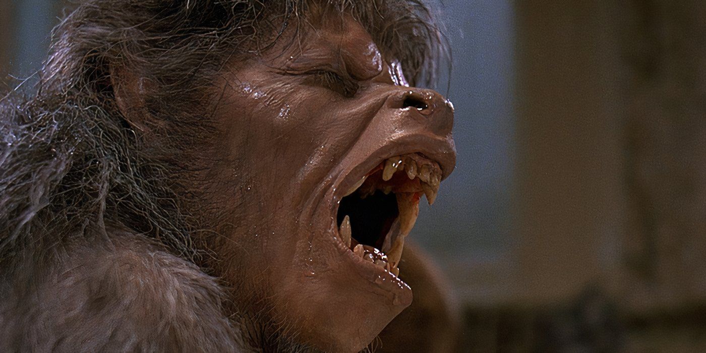 An American Werewolf In London's Brutal Werewolf Transformation Can't ...