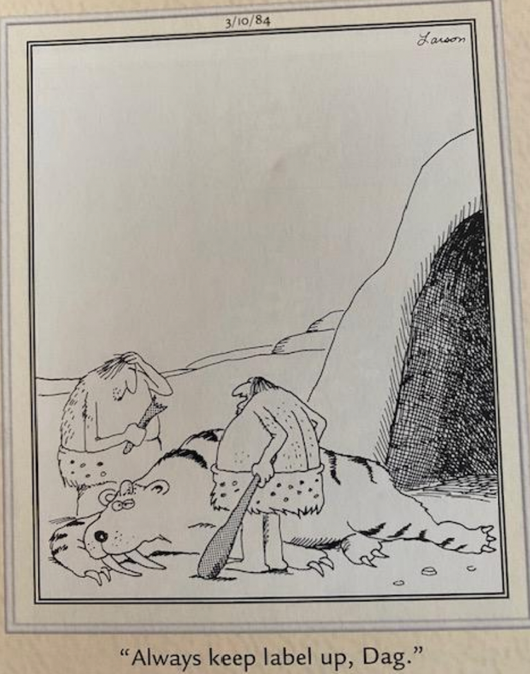 10 Funniest Far Side Comics About Baseball