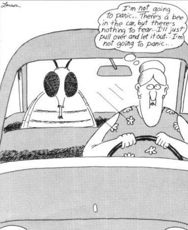10 Funniest Far Side Comics About Driving and Cars