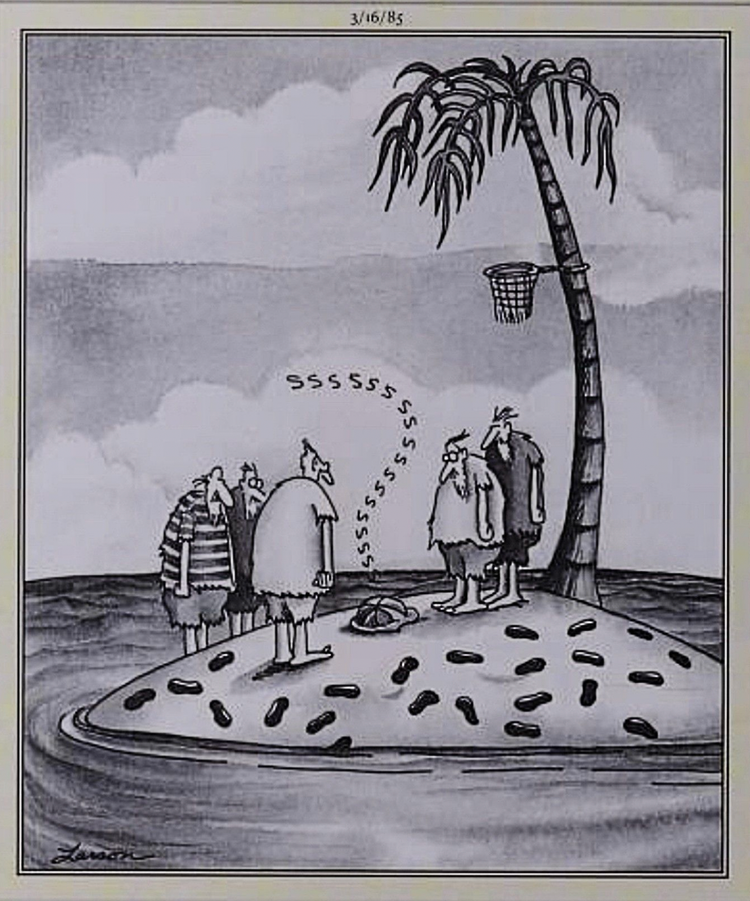 10 Funniest Far Side Comics About Basketball