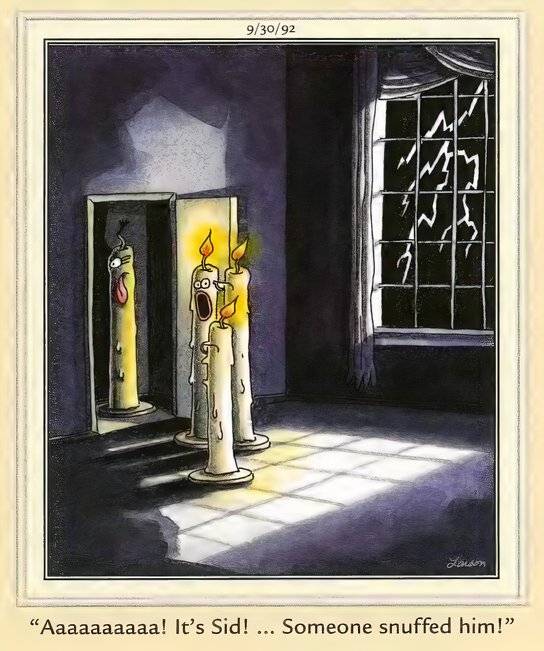 10 The Far Side Comics With Groan-Worthy Puns