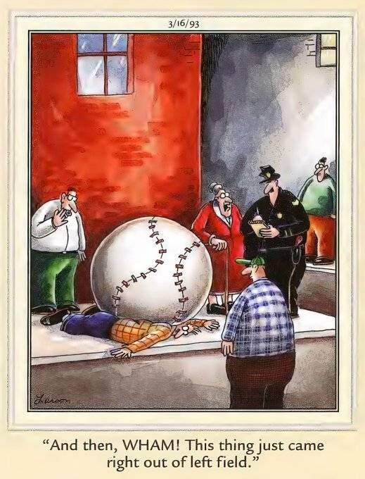 10 The Far Side Comics With Groan-Worthy Puns