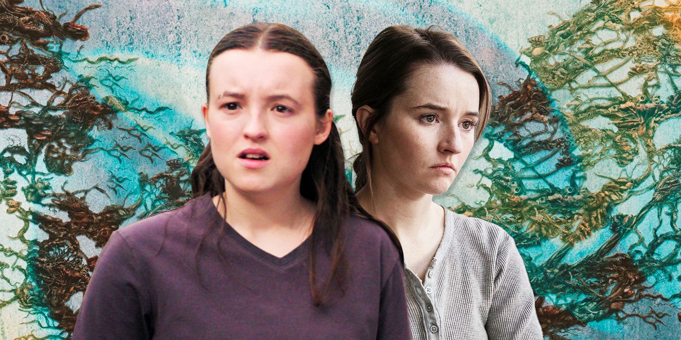 Dazed and Confused Filmmaker Richard Linklater's New Feature Picked Up ...