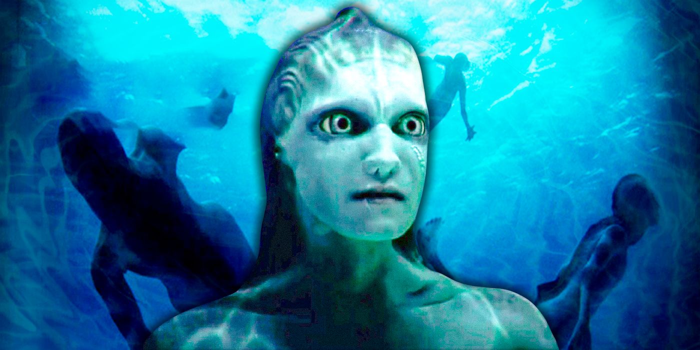 Real Life Mermaid Found Discovery Channel