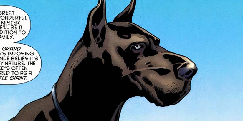 The 10 Best Comic Book Dogs of All Time, Ranked